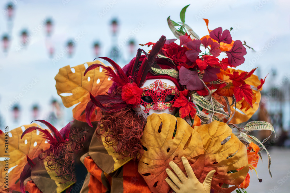 the colors of autumn on the costume of the carnival Stock Photo | Adobe ...