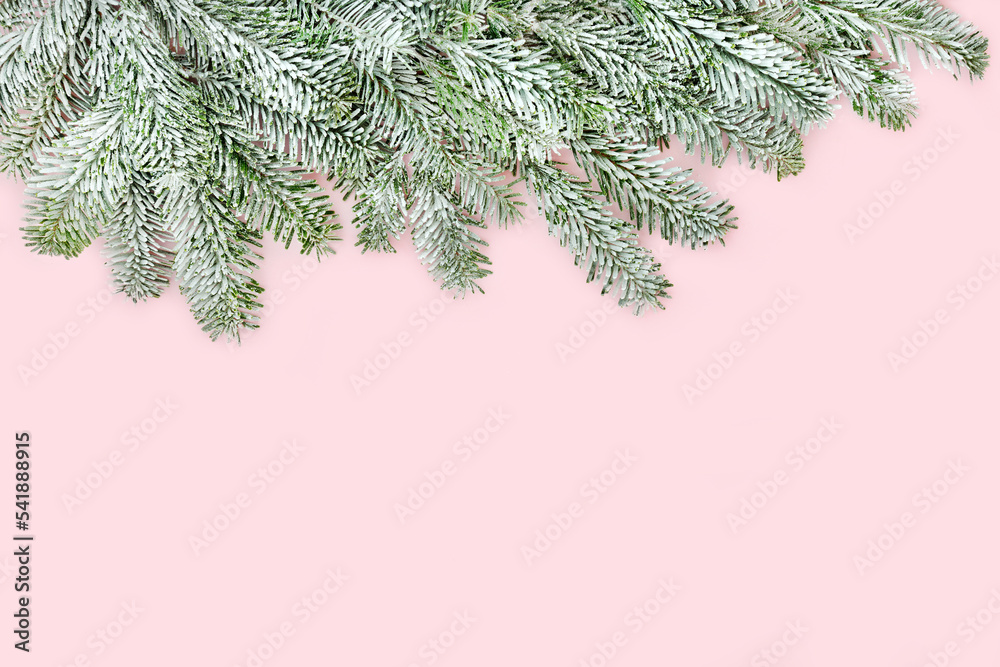 Winter Christmas New Year festive snow fir pastel pink background ...