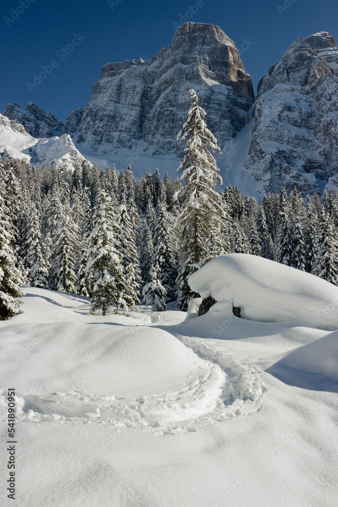Winter landscape of the Italian mountains. Path beaten in the freshly ...