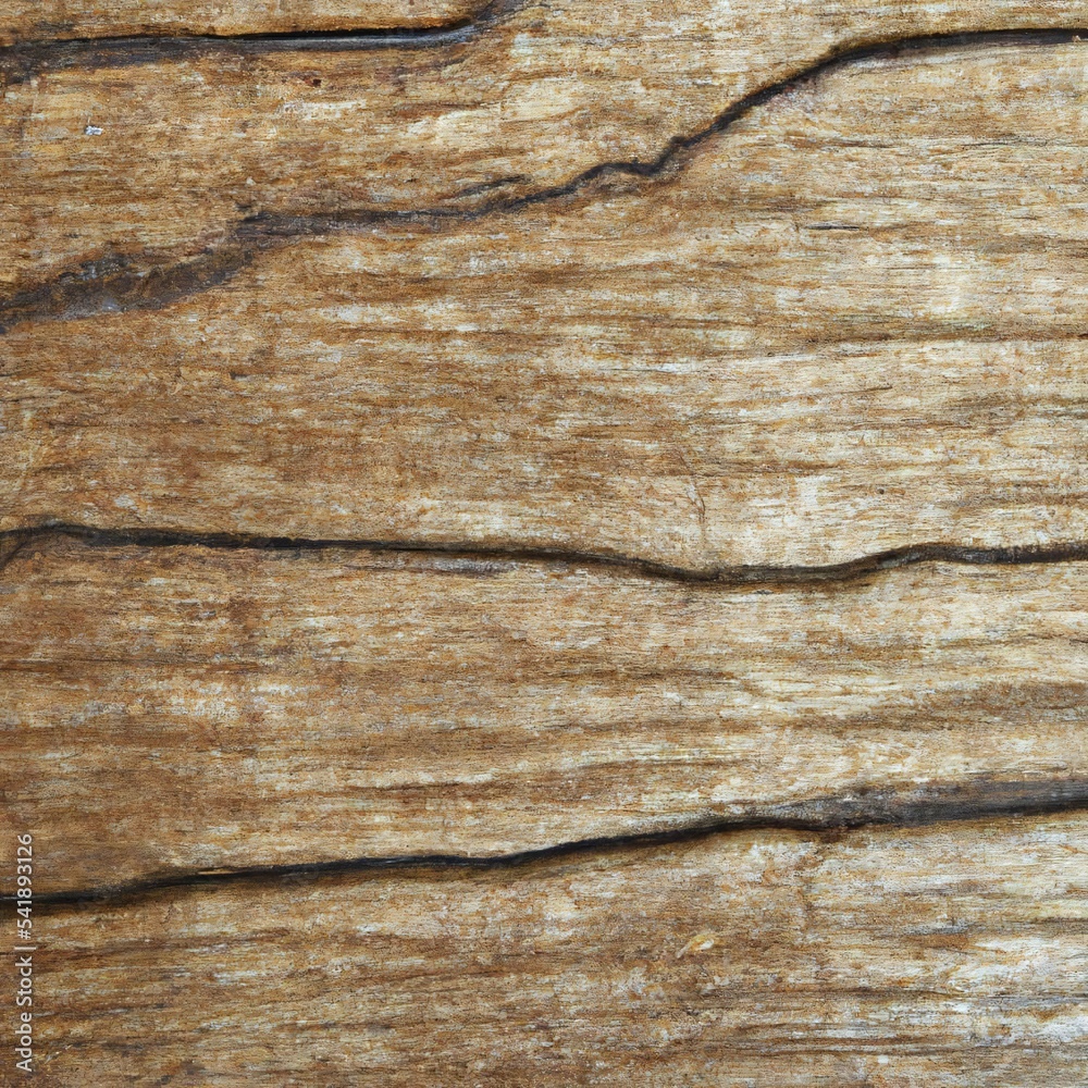 Closeup old weathered wood texture with rough grain and splits Stock ...