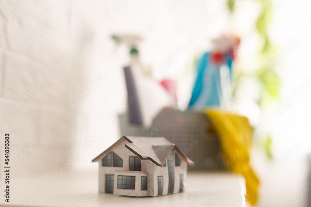 Housekeeping concept. Set of products for cleaning and a toy house ...