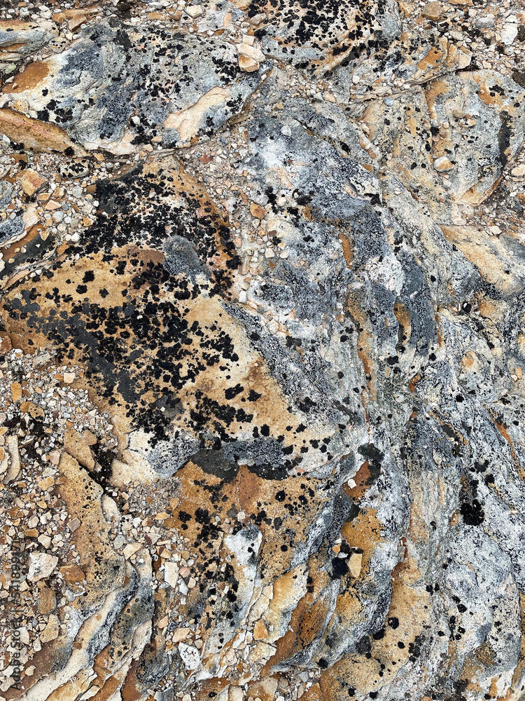 Stone rock boulder texture seaside landscape northern nature Stock ...