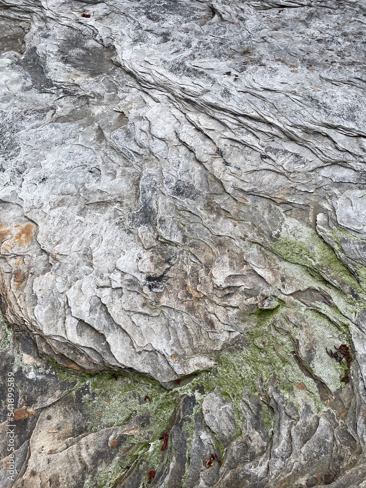 Stone rock boulder texture seaside landscape northern nature Stock 写真 ...