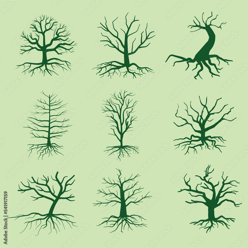 Old dark trees with roots, dead forest trees flat vector illustration ...