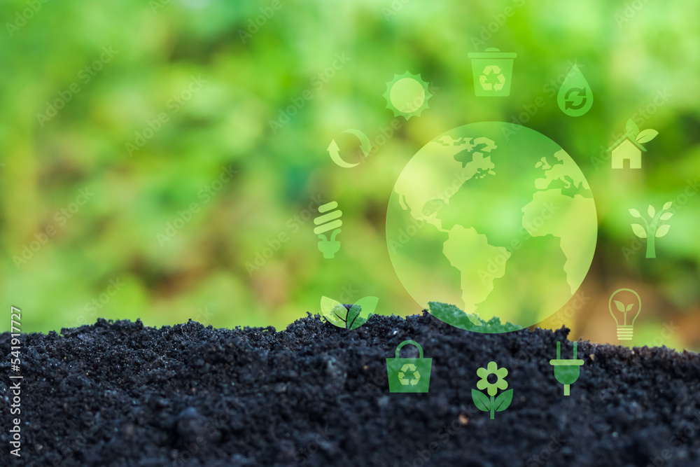 Renewable Energy Environmental protection, renewable, sustainable ...