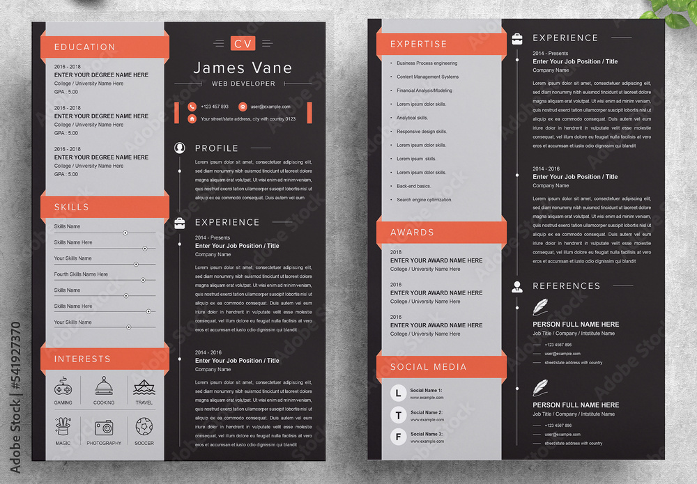 Creative Resume Templates Layout Design Stock Template | Adobe Stock