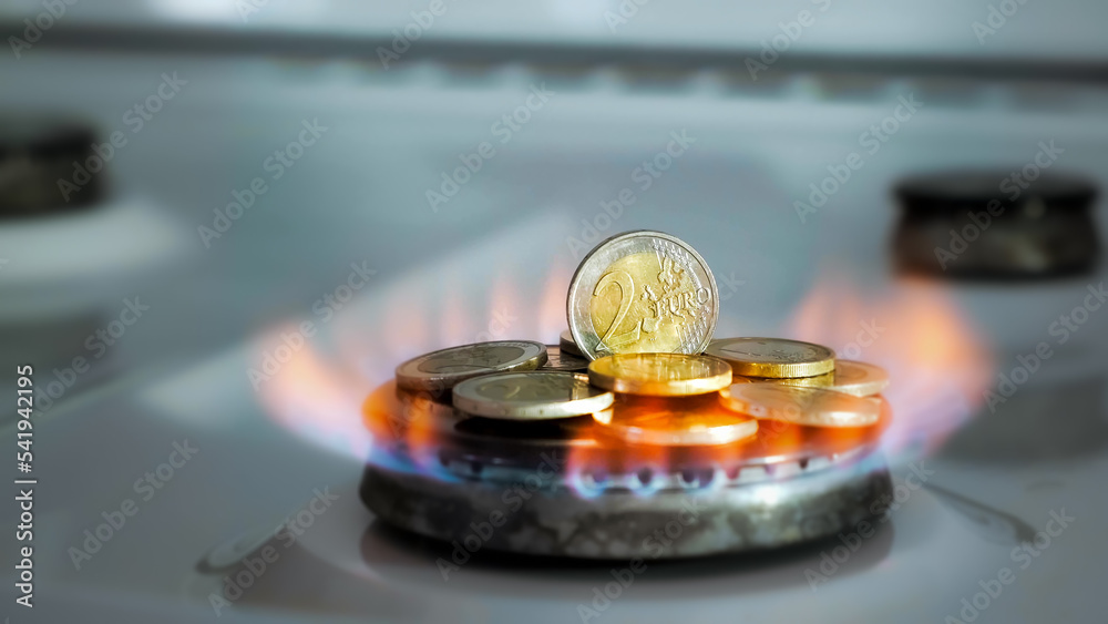 Concept of gas crisis. 2 Euro coins is burning on a kitchen stove ...