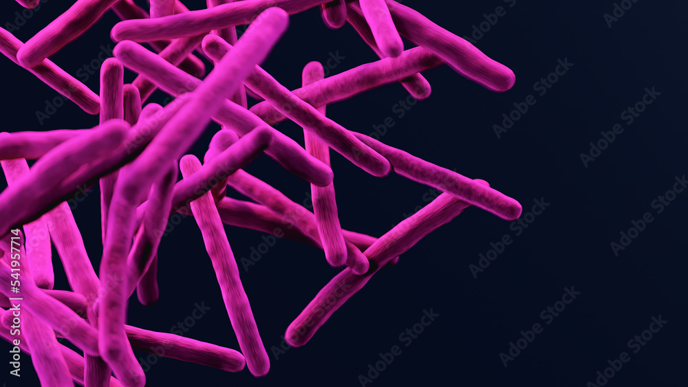 Mycobacterium tuberculosis bacteria, bacterial disease, 3d render Stock ...