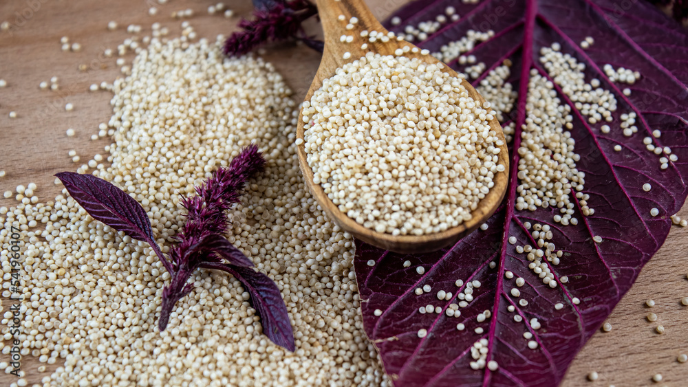 Amaranth seeds in a wooden spoon. Amaranth grains on a purple amaranth ...