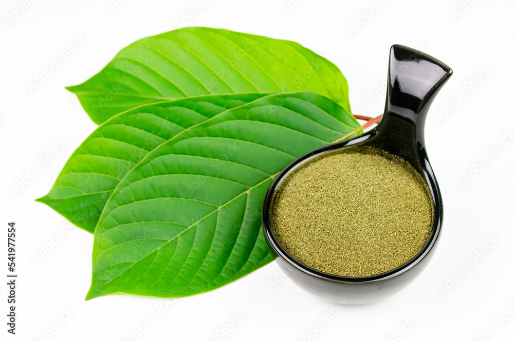 Mitragyna Speciosa Korth or kratom powder in black bowl with green leaf isolated on white ...