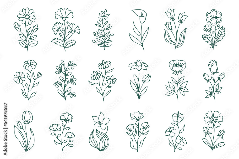 Floral line art set, linear botanical vector design elements. Flower ...