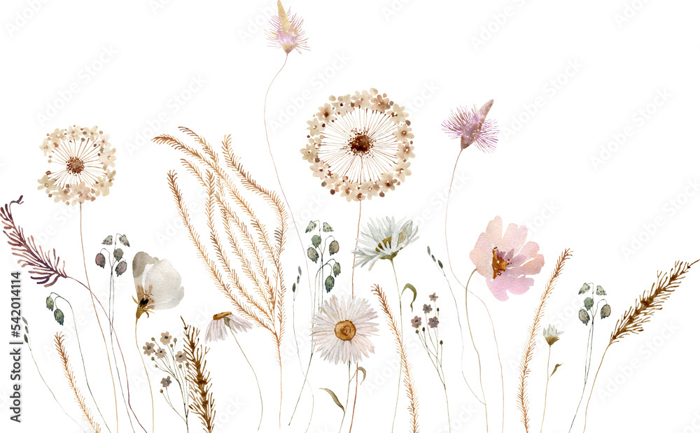 Wildflowers, herbs boho border painted in watercolor. Dried pampas ...