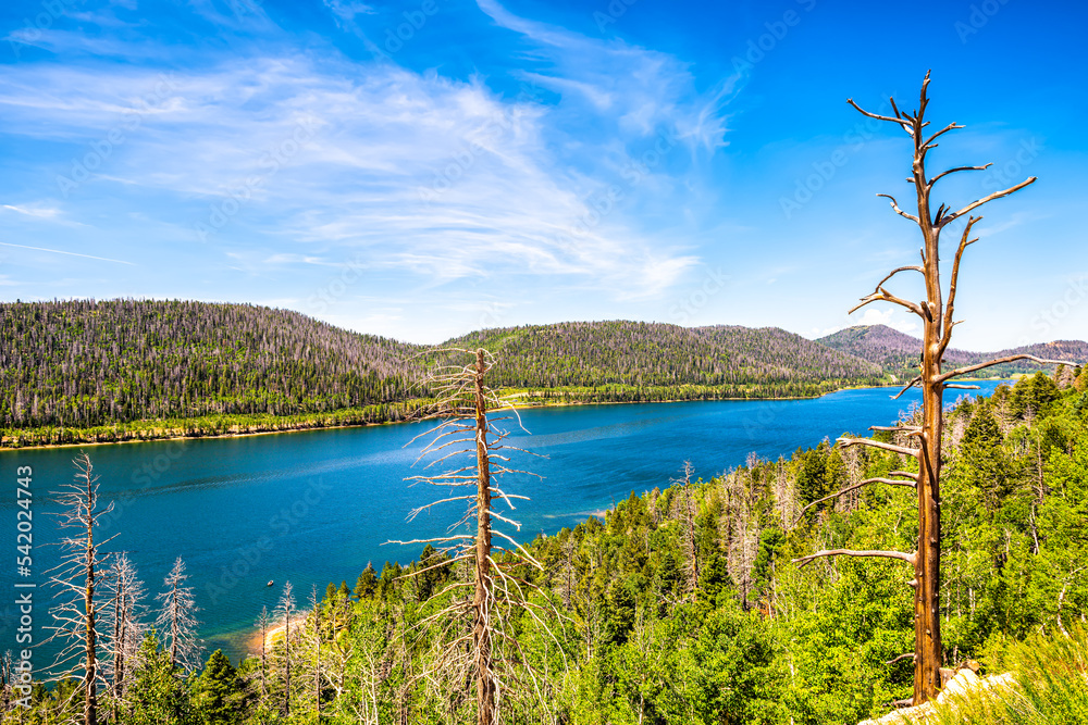 High angle view on Navajo lake, Kane county Utah water reservoire with ...