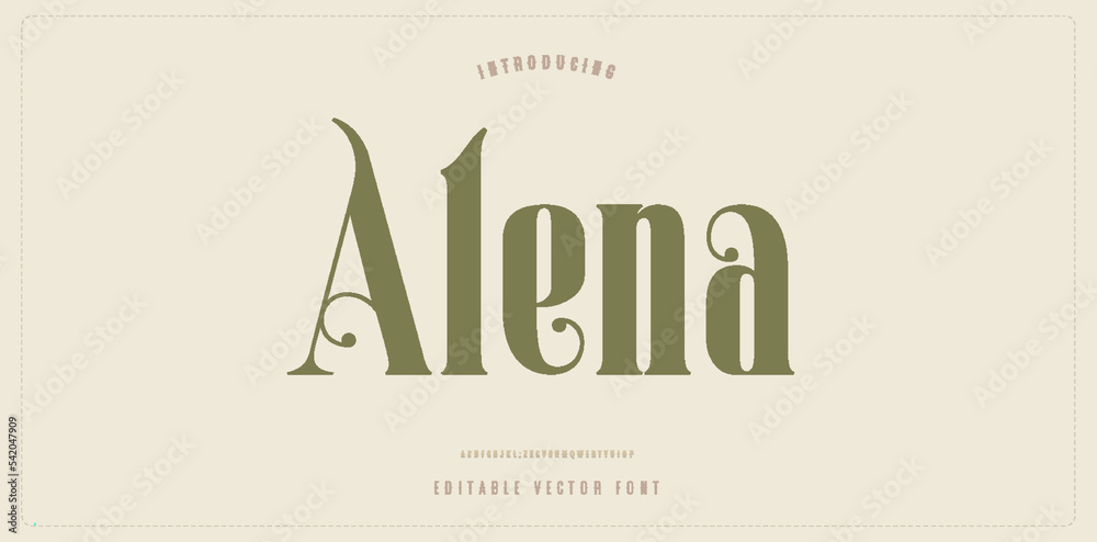 Alena text elegant alphabet letters font template. Typography Luxury ...