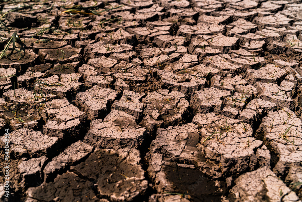 Dried land suffering from drought. Effects of climate change such as ...