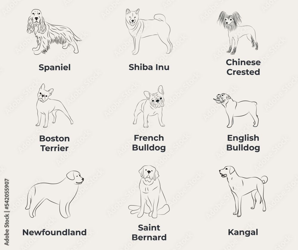 Dog Line Drawing, line art, one color, black and white, vector isolated ...