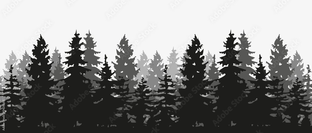Spruce treeline silhouette landscape. Pine tree silhouette landscape ...