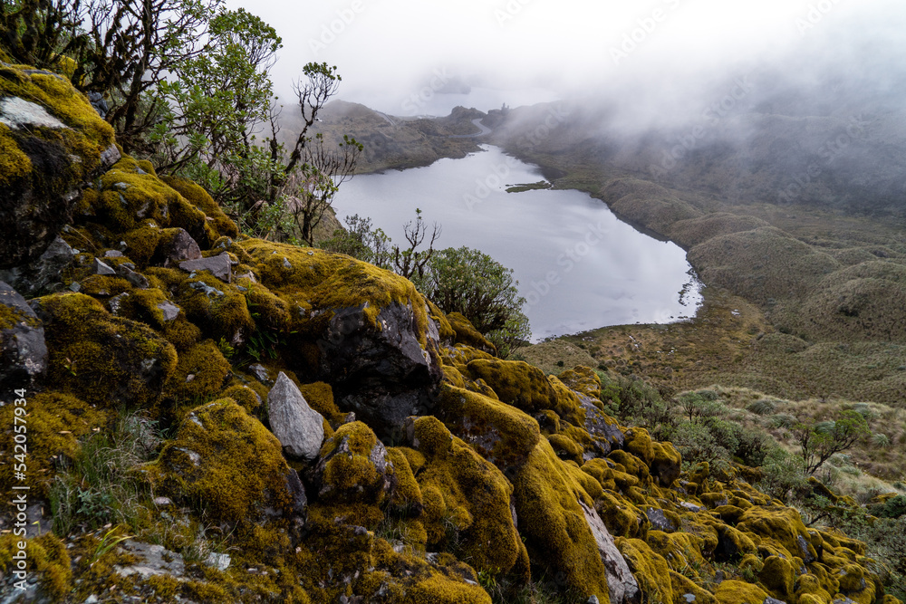 Magical and mysterious lagoons in Ecuador, Atillo lagoons Stock Photo ...