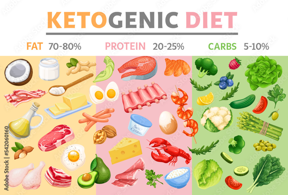 Keto diet design template vector illustration. Cartoon food for ...