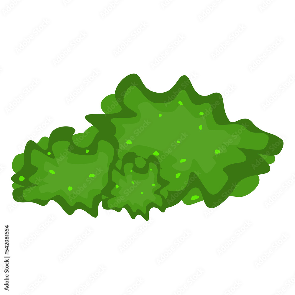 Green bush in cartoon style. Shrub green garden hedge. Summer landscape ...