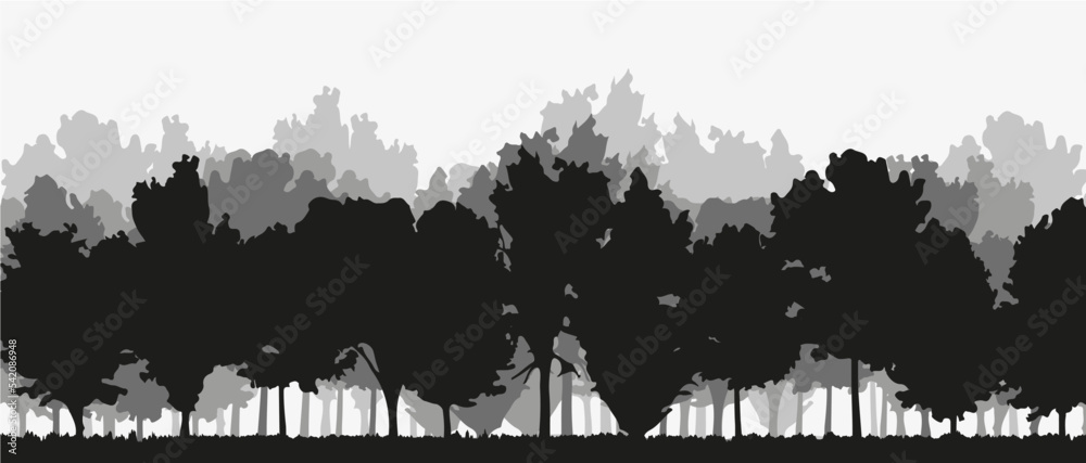 Spruce treeline silhouette landscape. Pine tree silhouette landscape ...