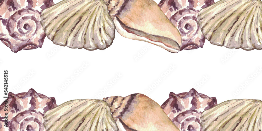 Watercolor set of isolated objects sea shells. Stock Illustration ...