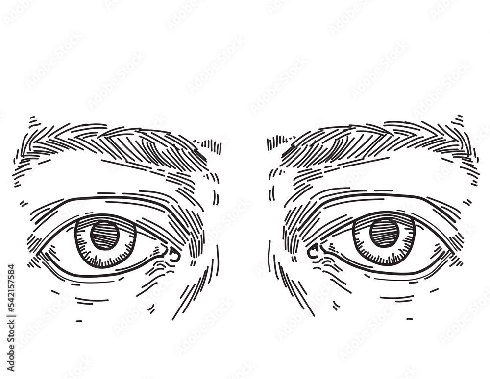 eyes look face view eye anatomy illustration line drawing on white ...