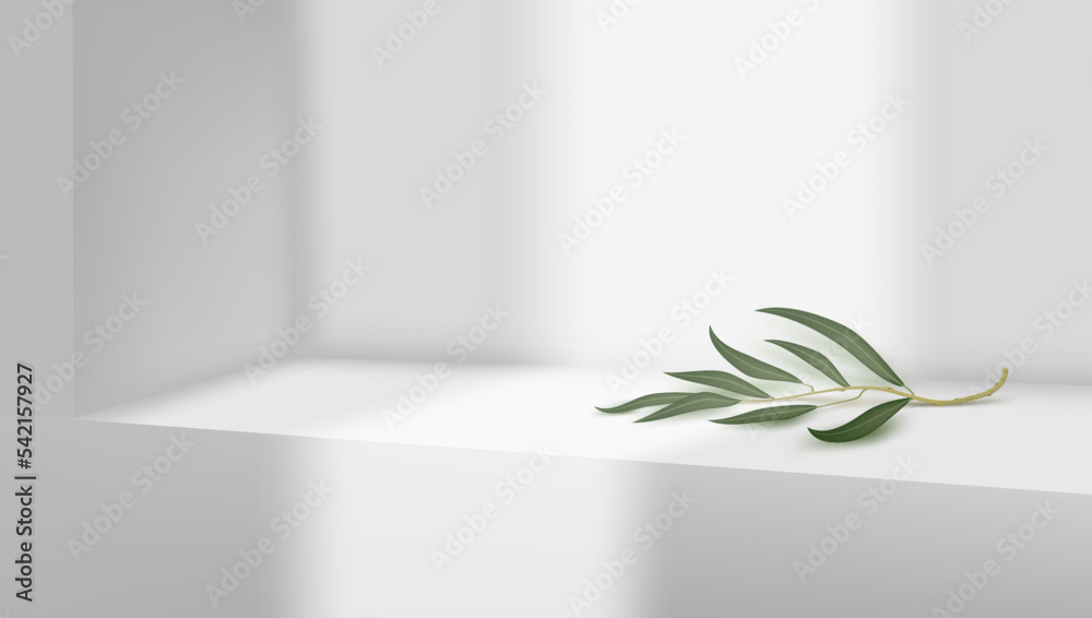 3D Stage Product Display Podium With Olive Branch Stock Vector | Adobe ...