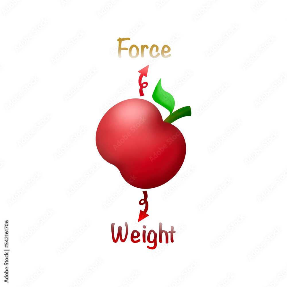 illustration of physics, Newton's laws of motion, the mass of the ...