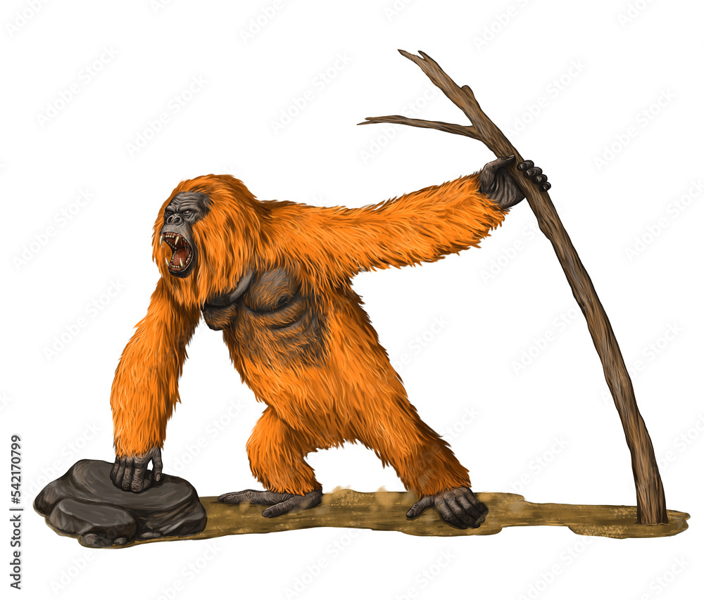 Prehistoric primates gigantopithecus. Giant orangutan. Ancestors of ...