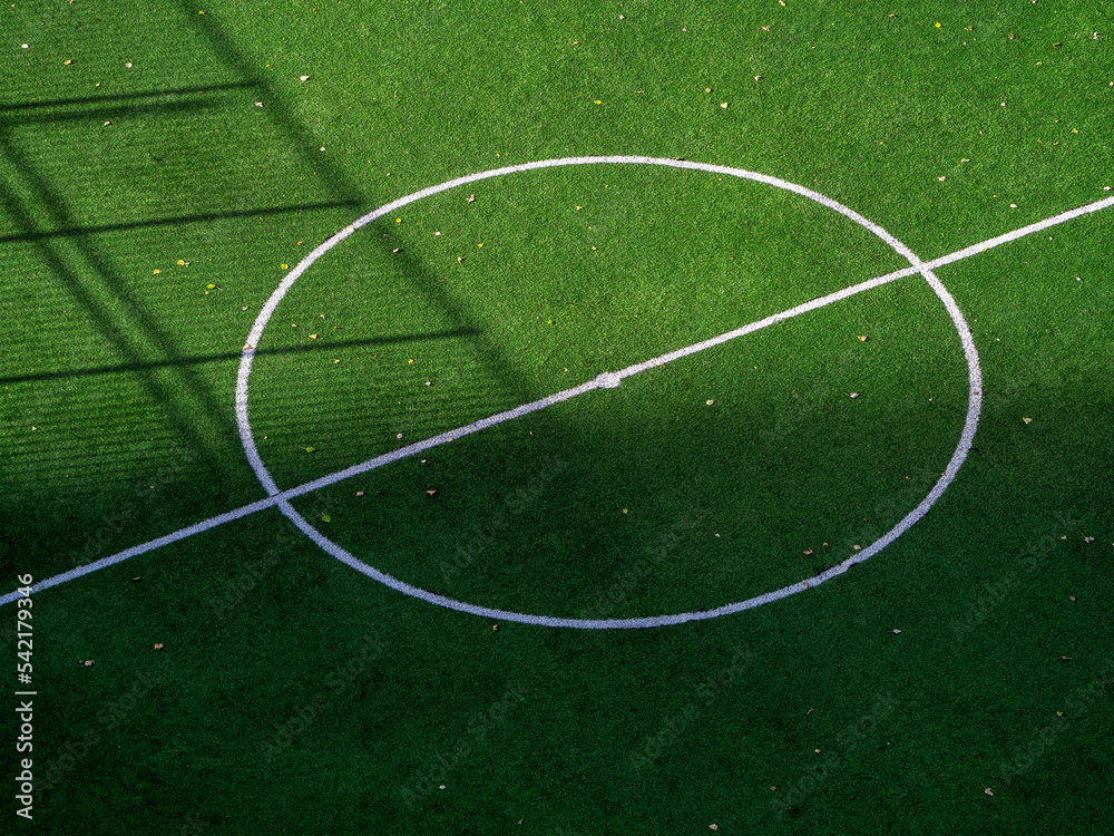 Football field markings. White central circle and line on a green ...