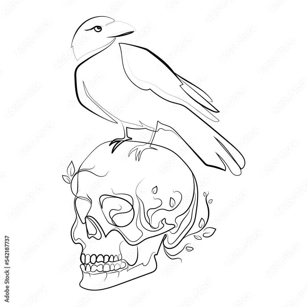 Human skull with crow Line art drawing,sketch style vector Art. Raven ...