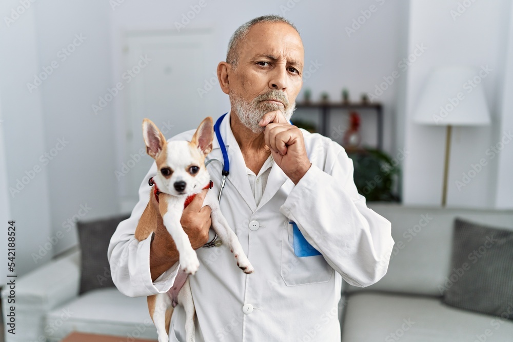 Mature veterinarian man checking dog health serious face thinking about ...