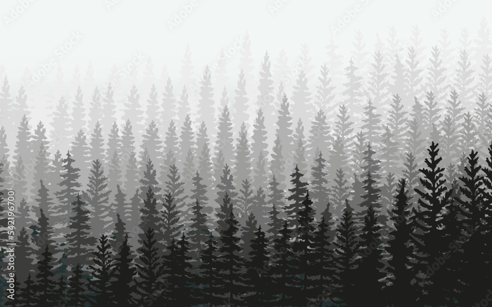 Spruce treeline silhouette landscape. Pine tree silhouette landscape ...