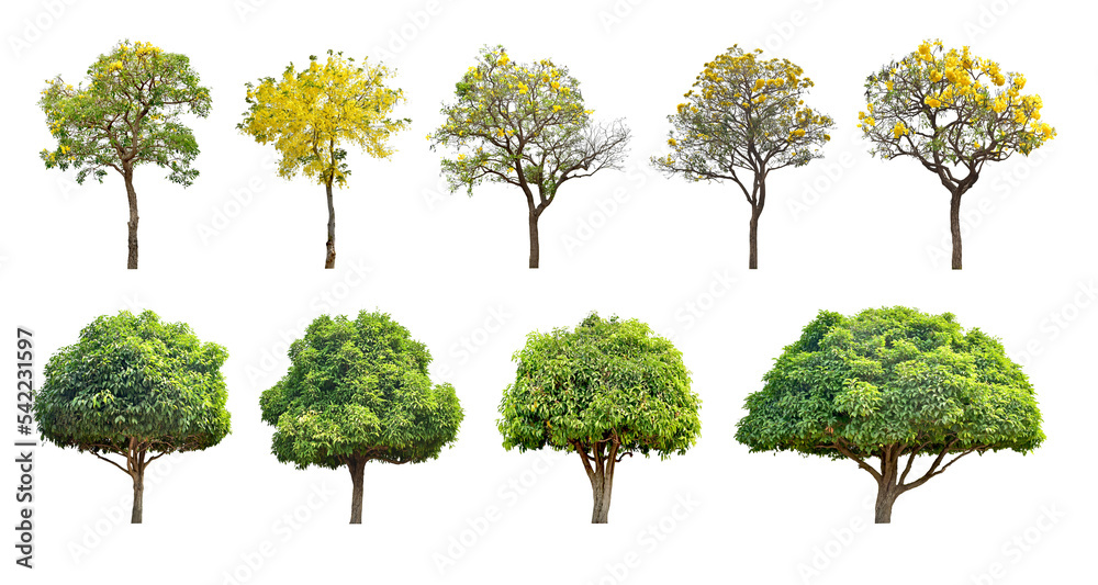 Collection Trees and bonsai green leaves and some with yellow flowers ...