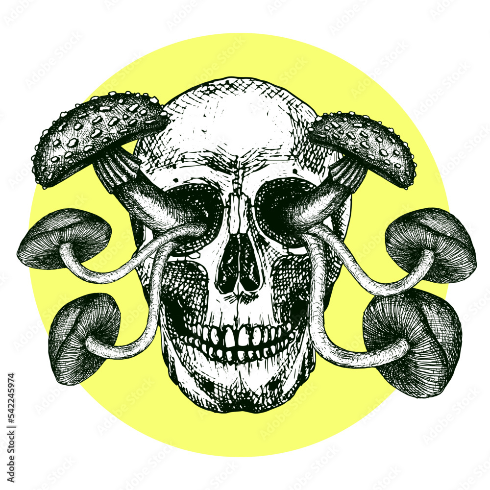Human skull with mushrooms growing from it. Green vector hand drawing ...