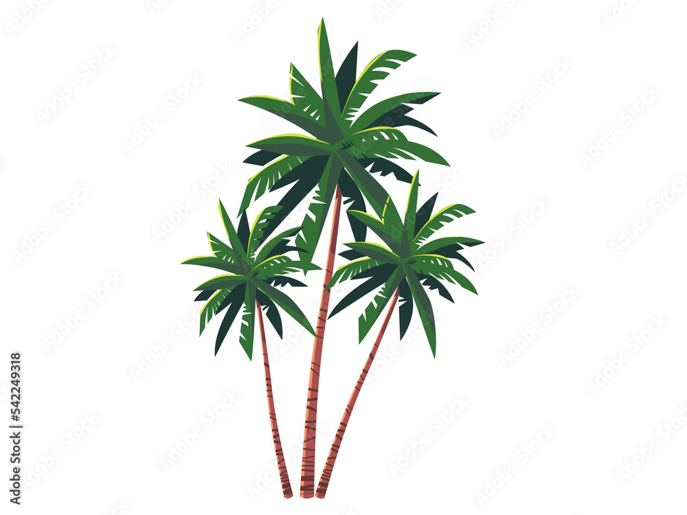 Green tropical palm trees illustration on a white background. Flat ...
