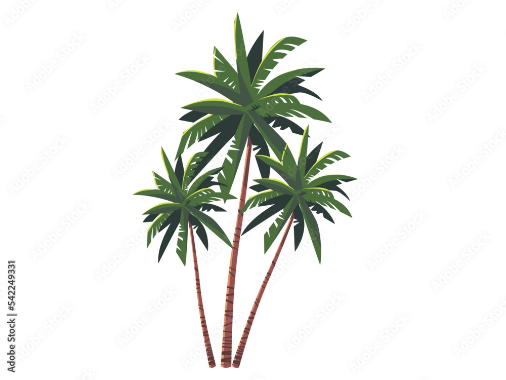 Green tropical palm trees illustration on a white background. Flat ...