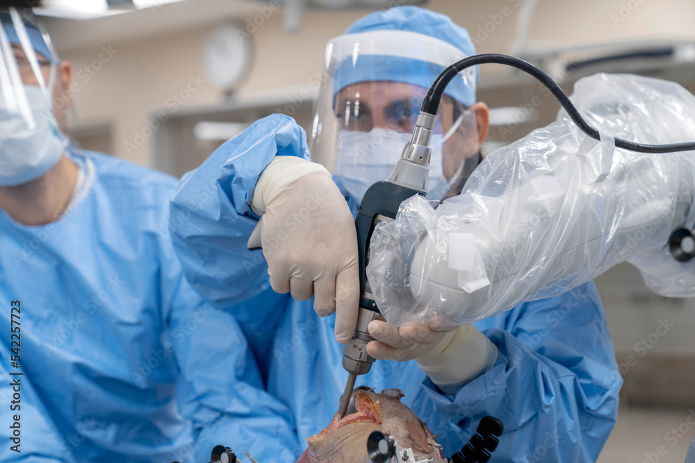 Team of doctor perform total hip arthroplasty replacement surgery in ...