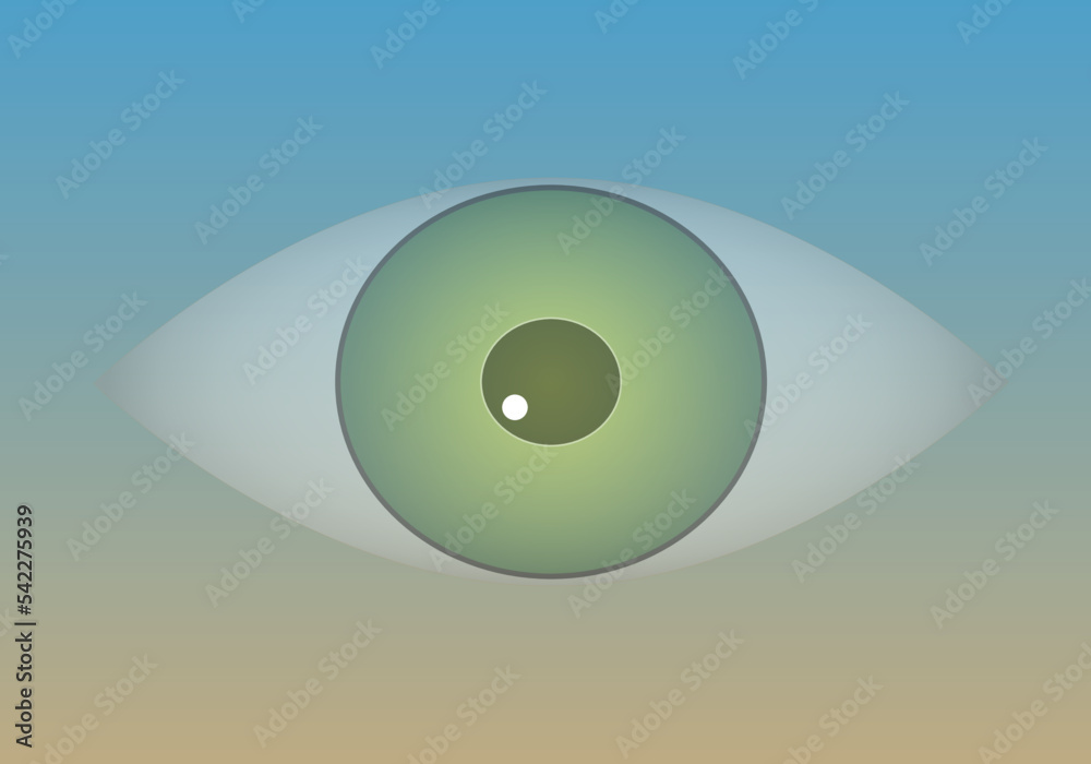 Ojo vigilante, mirada, observación. Espía Stock Vector | Adobe Stock