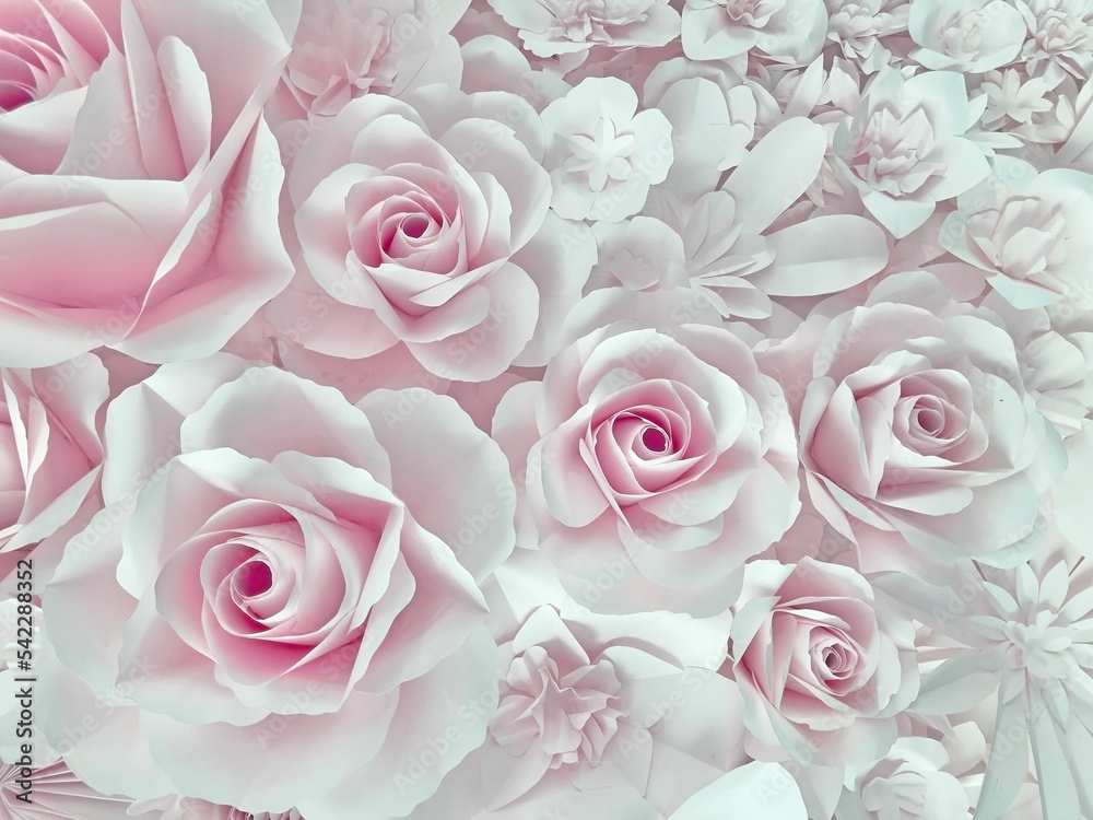 Roses background and texture. Beautiful pink roses and white flowers ...