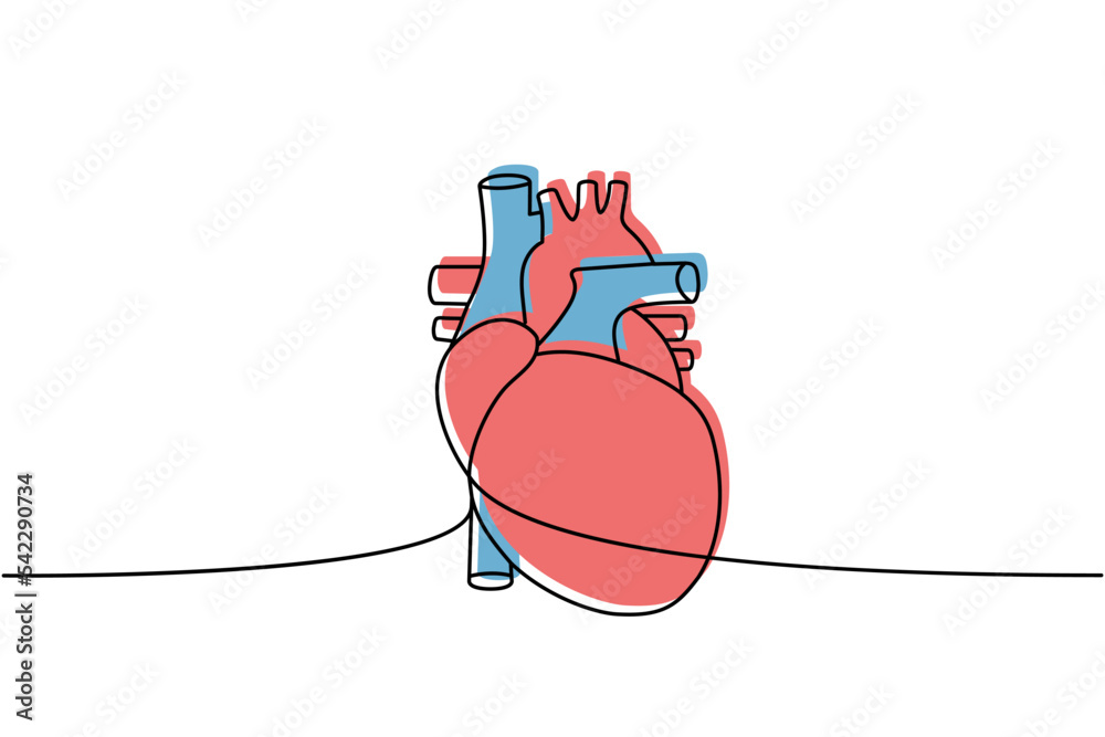 Human heart one line colored continuous drawing. Human organ continuous ...