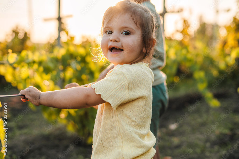 Little two years old girl standing next to vineyards smiling and ...