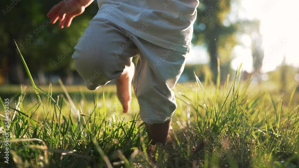 Boy kid run on grass in summer in park. Feet close up on green grass in ...
