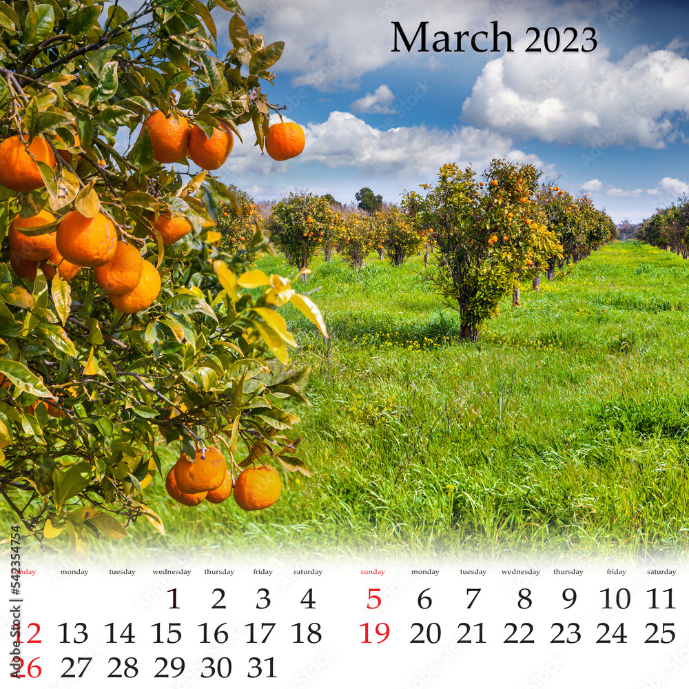 Square wall monthly calendar ready for print, March 2023. Set of ...