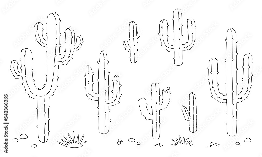 Vector Sketch of Wild Cactus. Collection of Cute Cacti. Desert plant ...