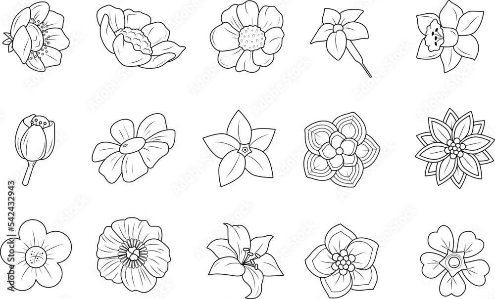 Hand drawn flowers clipart, vector illustration. Outline flowers ...