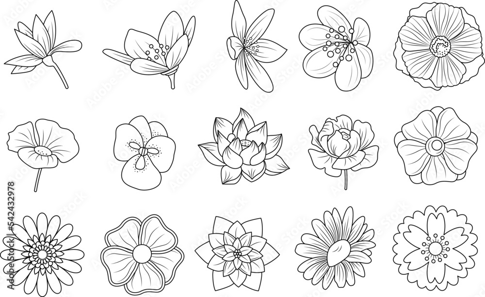 Hand drawn flowers clipart, vector illustration. Outline flowers ...