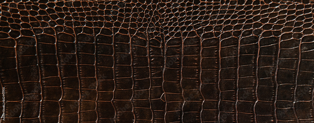 Very luxurious brown crocodile skin texture used in textile industry ...