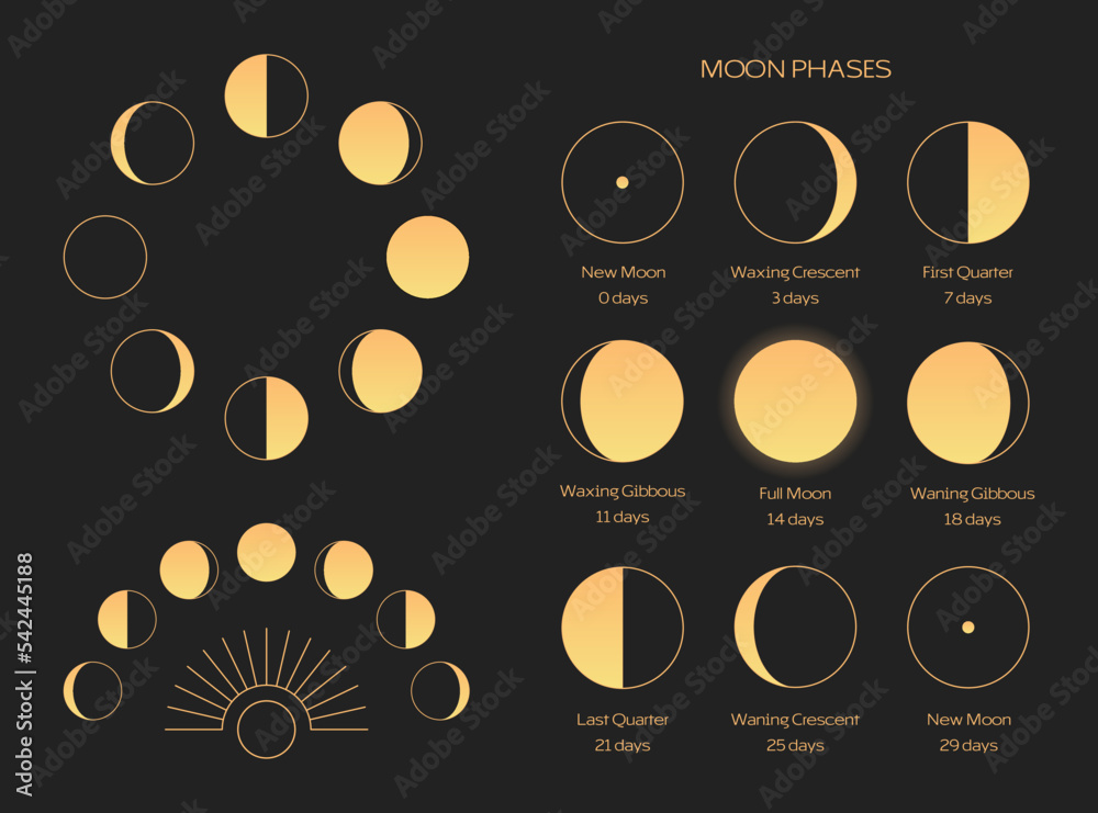 Moon phases scheme sphere shadow cycle astronomy icon set. Vector ...